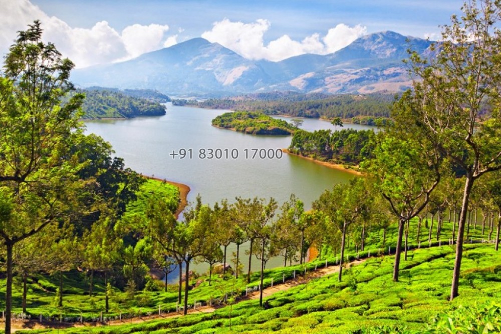 3 days Discover Munnar Package - Platonic Holidays